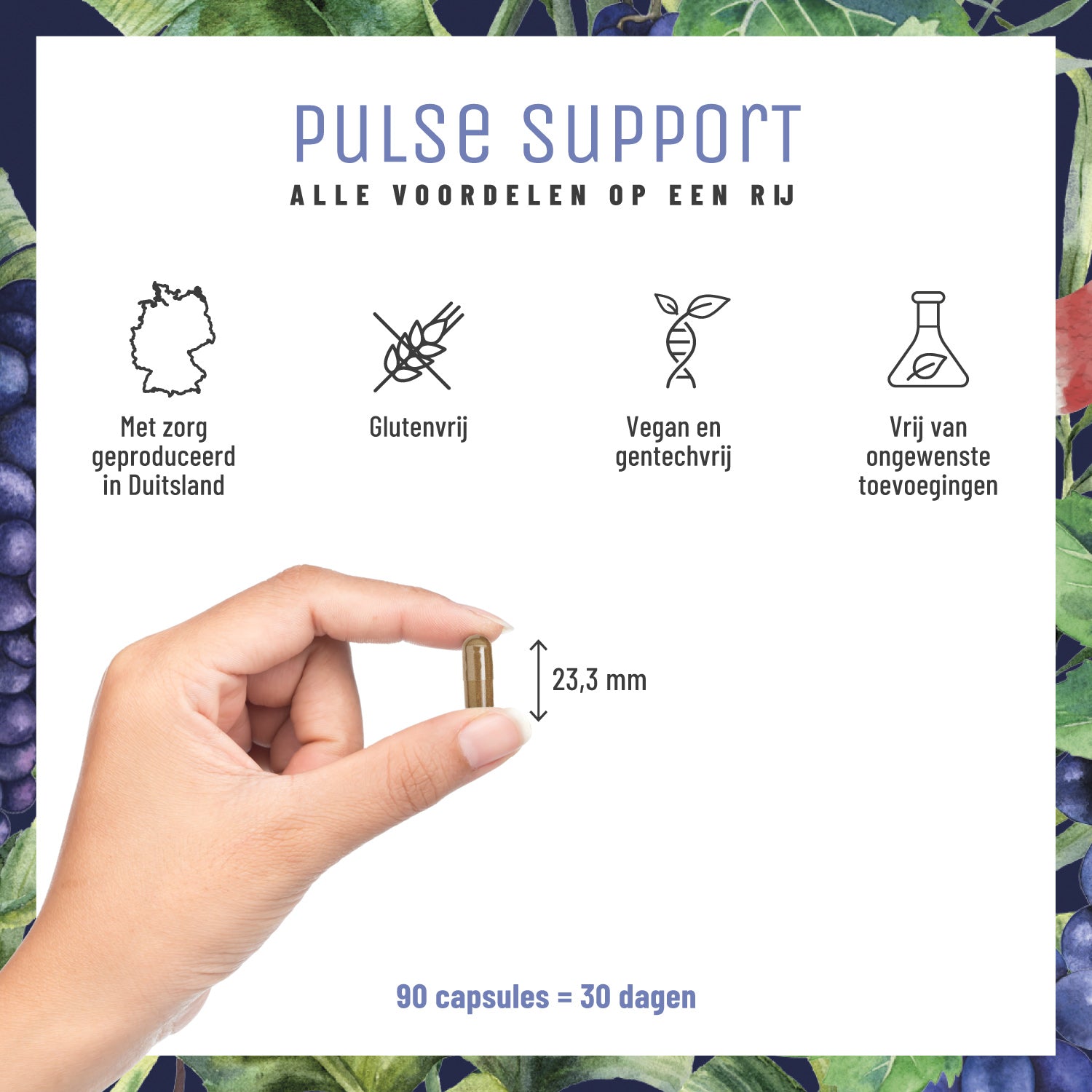 Pulse Support: OPC-complex met Q10, kalium en knoflook – NATURTREU